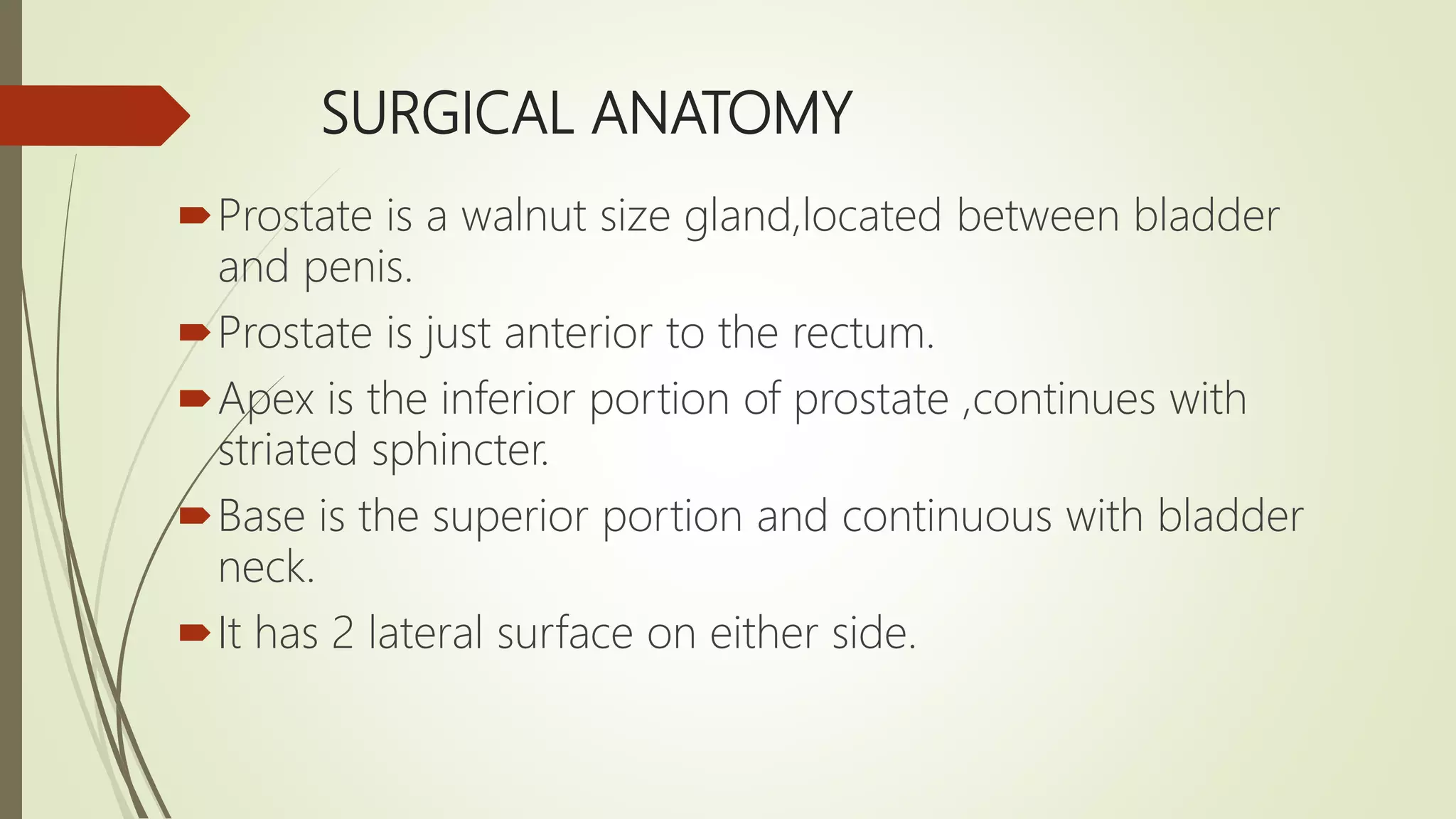 Nephrectomy grossing | PPTX