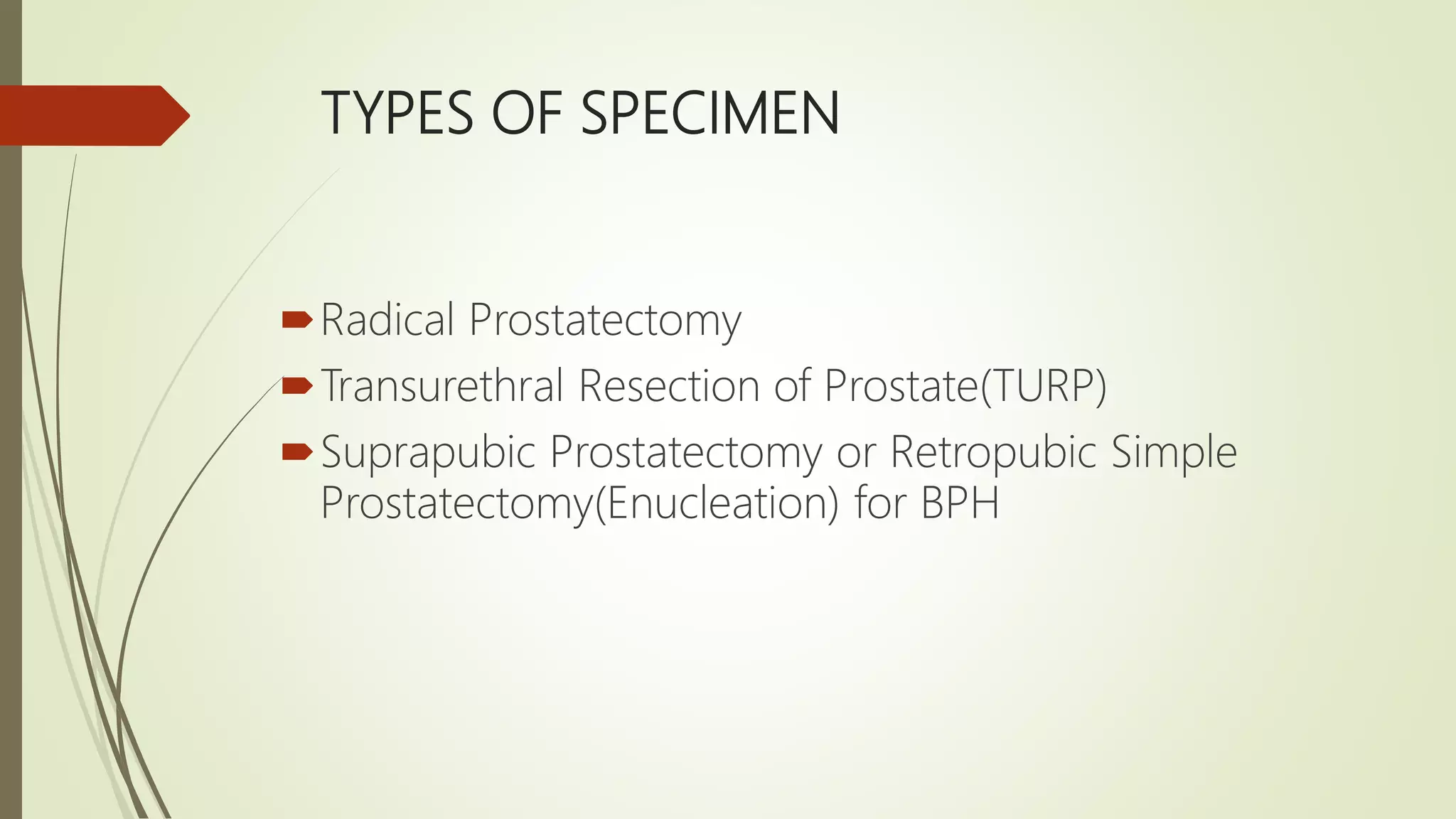 Nephrectomy grossing | PPTX