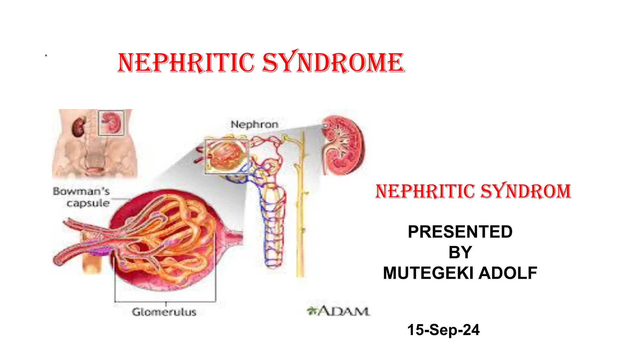 NEPHRITIC SYNDROME.Nephritic syndrome is a kidney disorder ...
