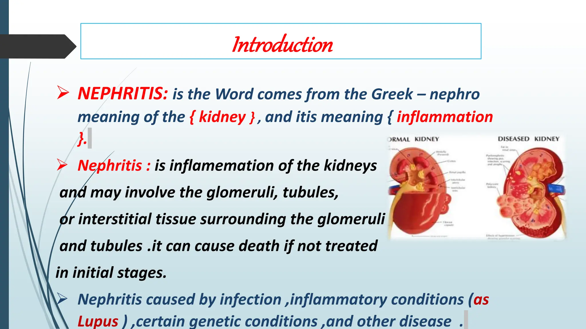 nephritis lecture for laboratory students -1.pptx