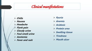 nephritis lecture for laboratory students -1.pptx
