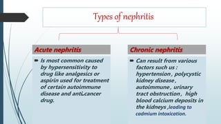 nephritis lecture for laboratory students -1.pptx