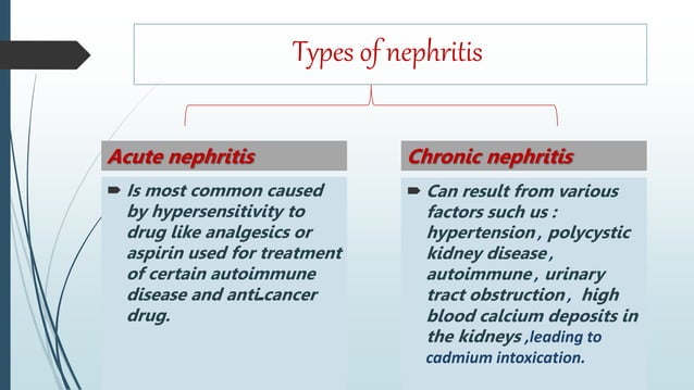 nephritis lecture for laboratory students -1.pptx