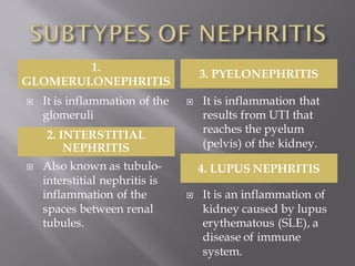 Glomerulonephritis Types