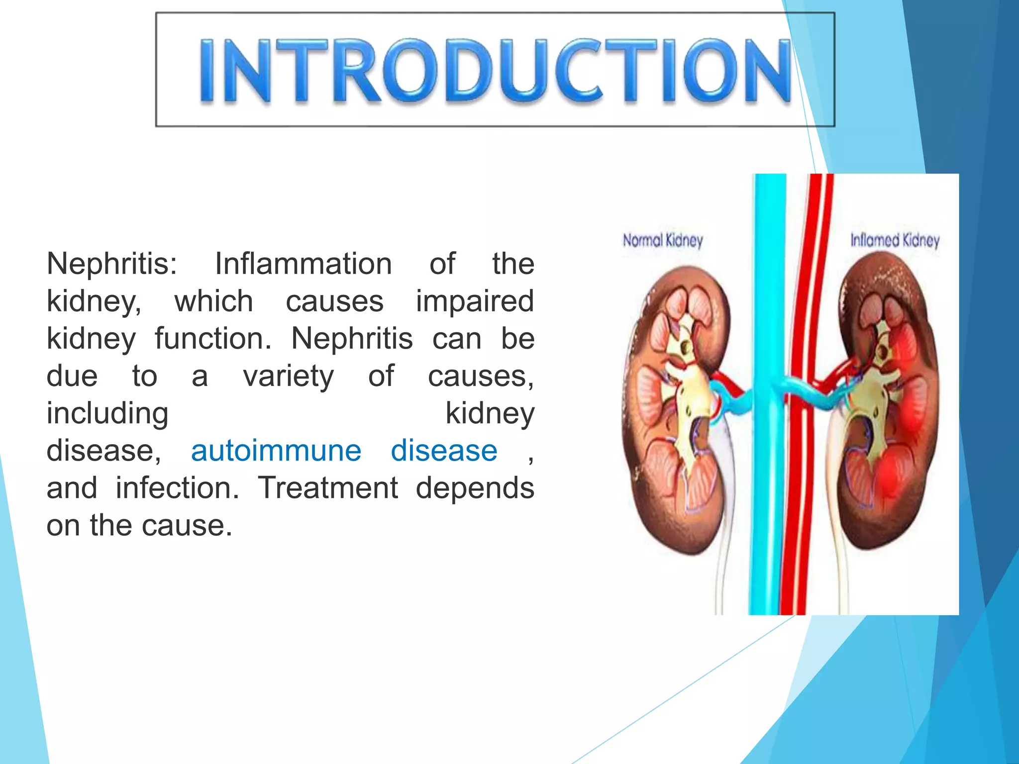 Nephritis | PPTX