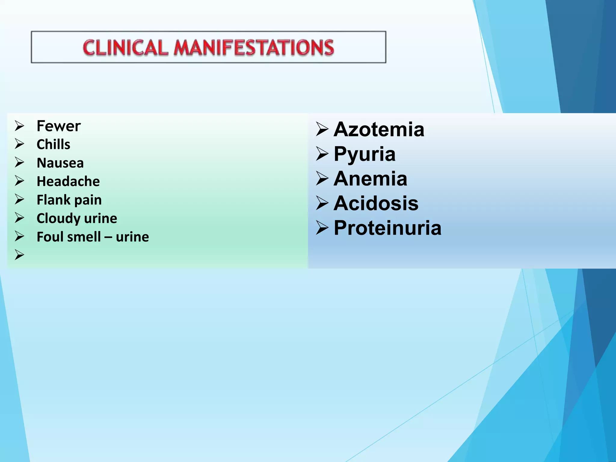Nephritis | PPTX