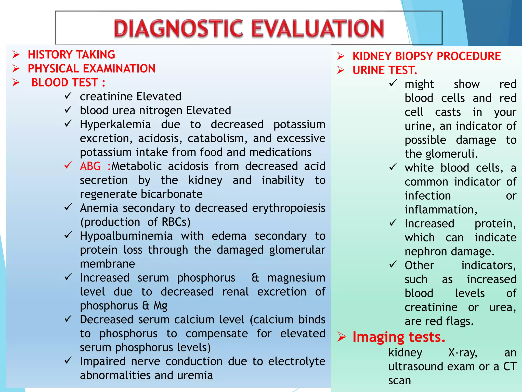 Nephritis | PPTX