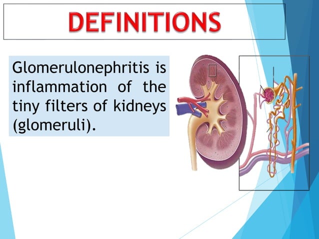 Nephritis | PPTX