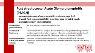 Glomerulonephritis | PPTX | Blood Disorders | Diseases and Conditions