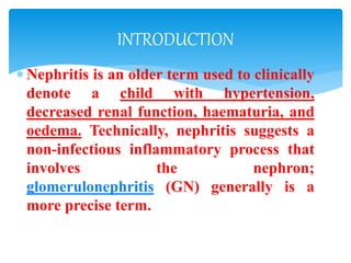 nephritis.bsc nursing third year kcon.... | PPTX