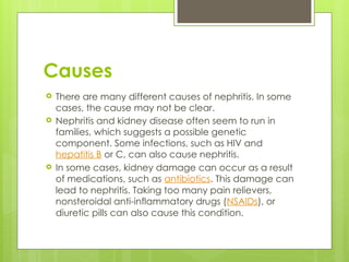 NEPHRITIS AND ITS NURSING MANAGEMENT pptx | PPTX | Infectious Diseases ...