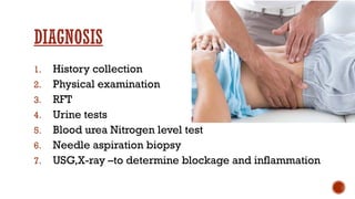 Nephritis clinical features, diagnosis and treatment | PPTX