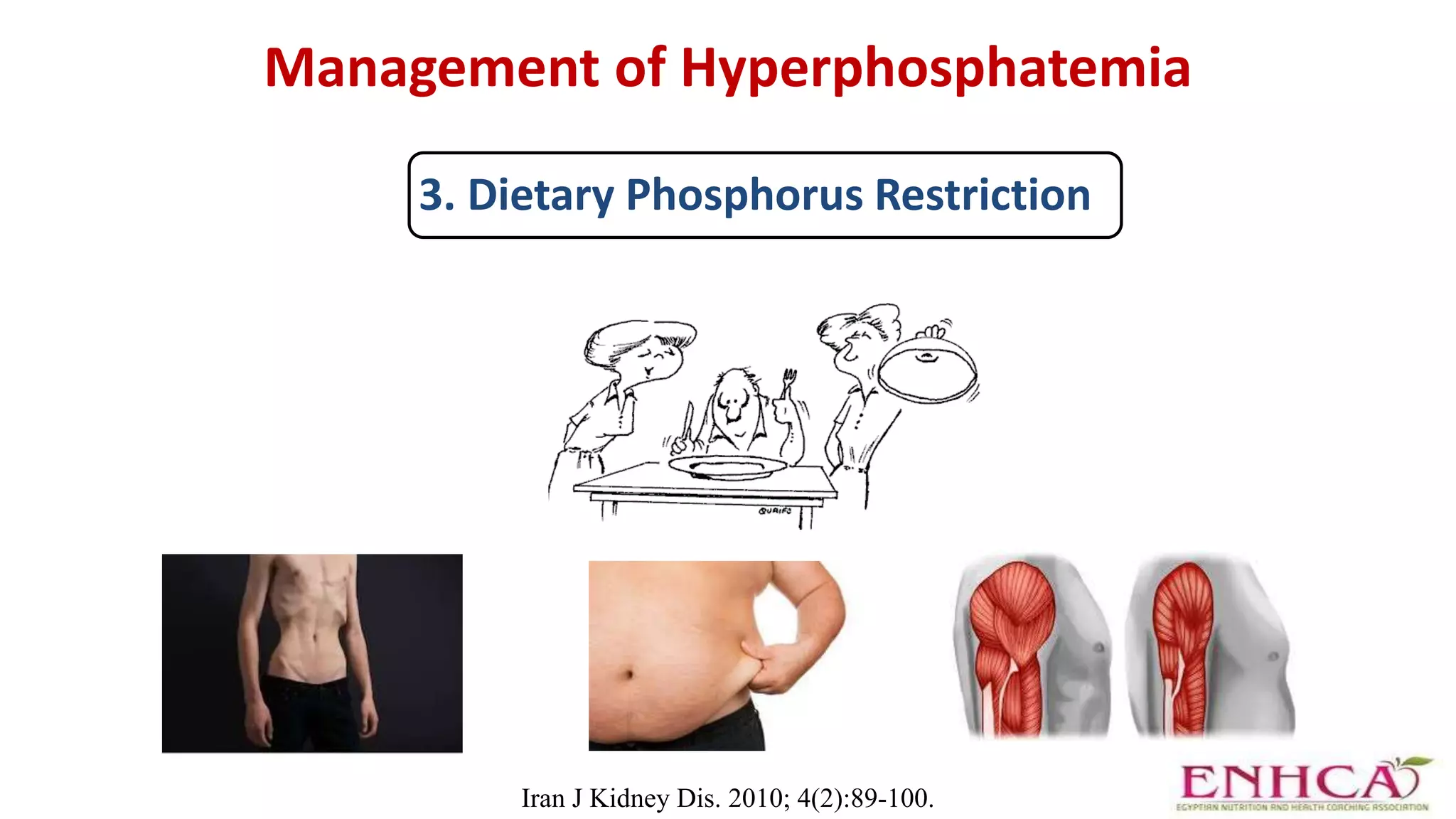 Phosphorus and Hemodialysis: a Predator that can be Tamed. | PPSX