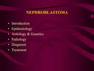 Nephroblastoma.ppt