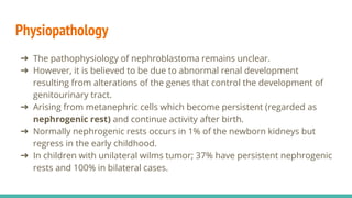 NEPHROBLASTOMA IN CHILDREN (Wilm’s tumor).pptx
