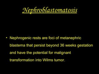 Nephroblastomatosis | PPT