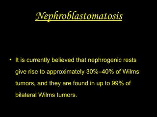 Nephroblastomatosis | PPT