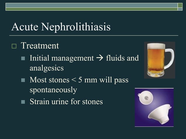 Nephrolithiasis | PPTX | Digestive Disorders | Diseases and Conditions