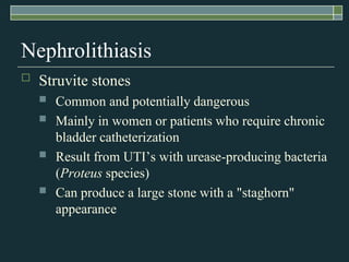 Nephrolithiasis | PPTX