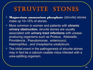 Struvite Stones In Humans