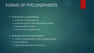 Nephrolithiasis and Pyelonephritis | PPTX