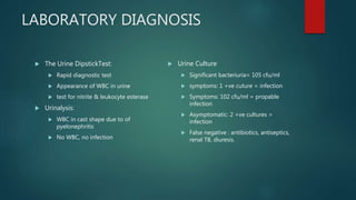 Nephrolithiasis and Pyelonephritis | PPTX