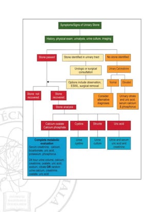 Nephrolithiasis algortihm | PDF