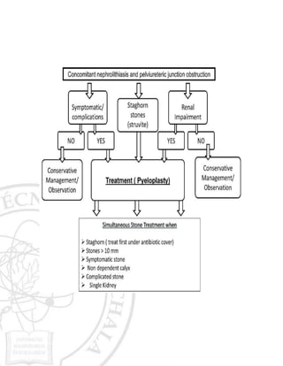 Nephrolithiasis algortihm | PDF