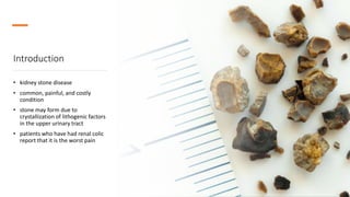 Nephrolithiasis_SHISODIA.pptx.pptx