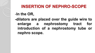Nephrolithotomy | PPTX | Surgery | Medical Health