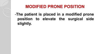 Nephrolithotomy | PPTX | Surgery | Medical Health
