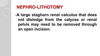 Nephrolithotomy | PPTX | Surgery | Medical Health