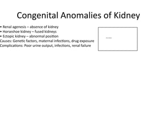 Nephrological_Disorders_with_Images (1).pptx