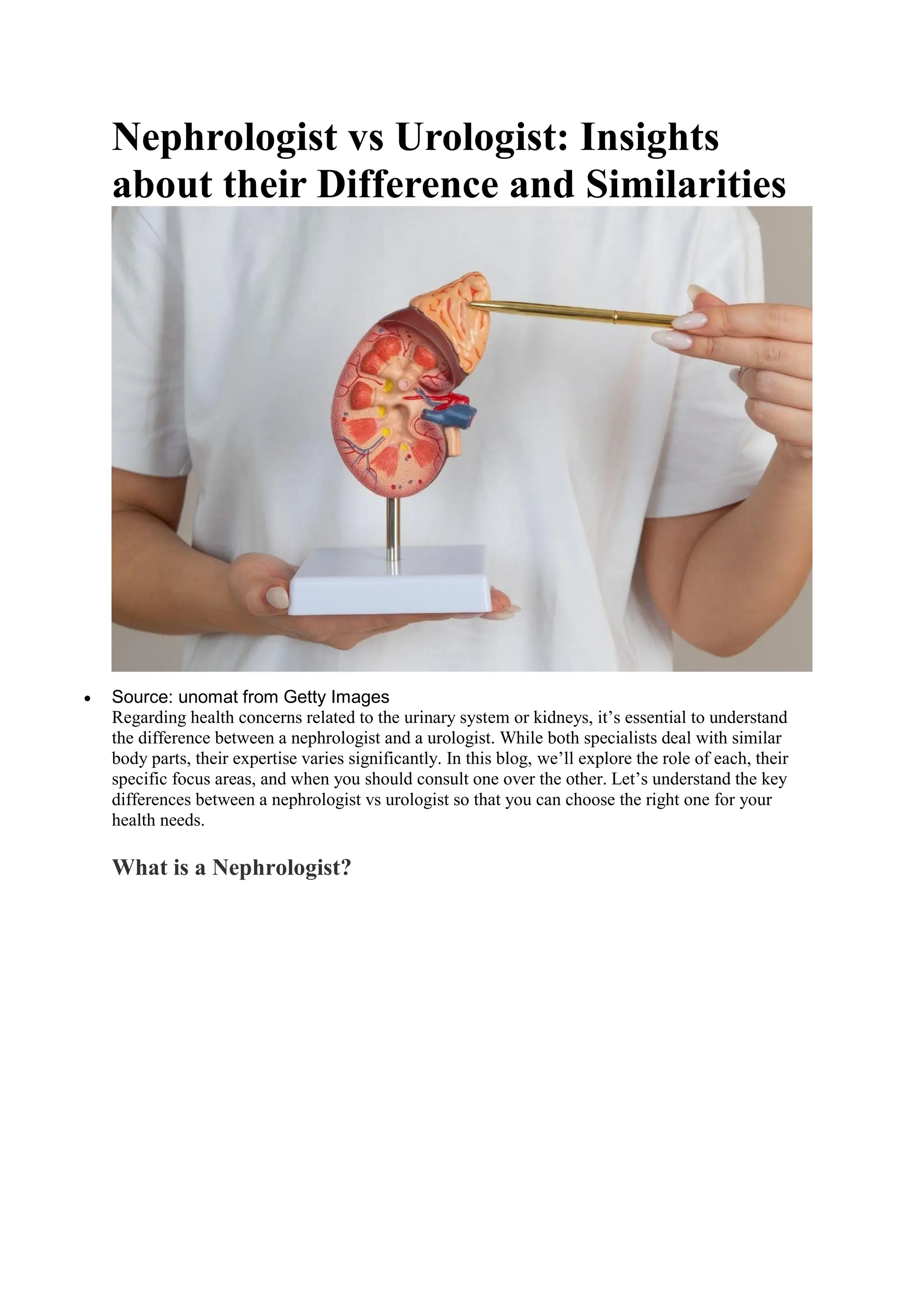 Nephrologist vs Urologist: Which Specialist Do You Need? | The ...