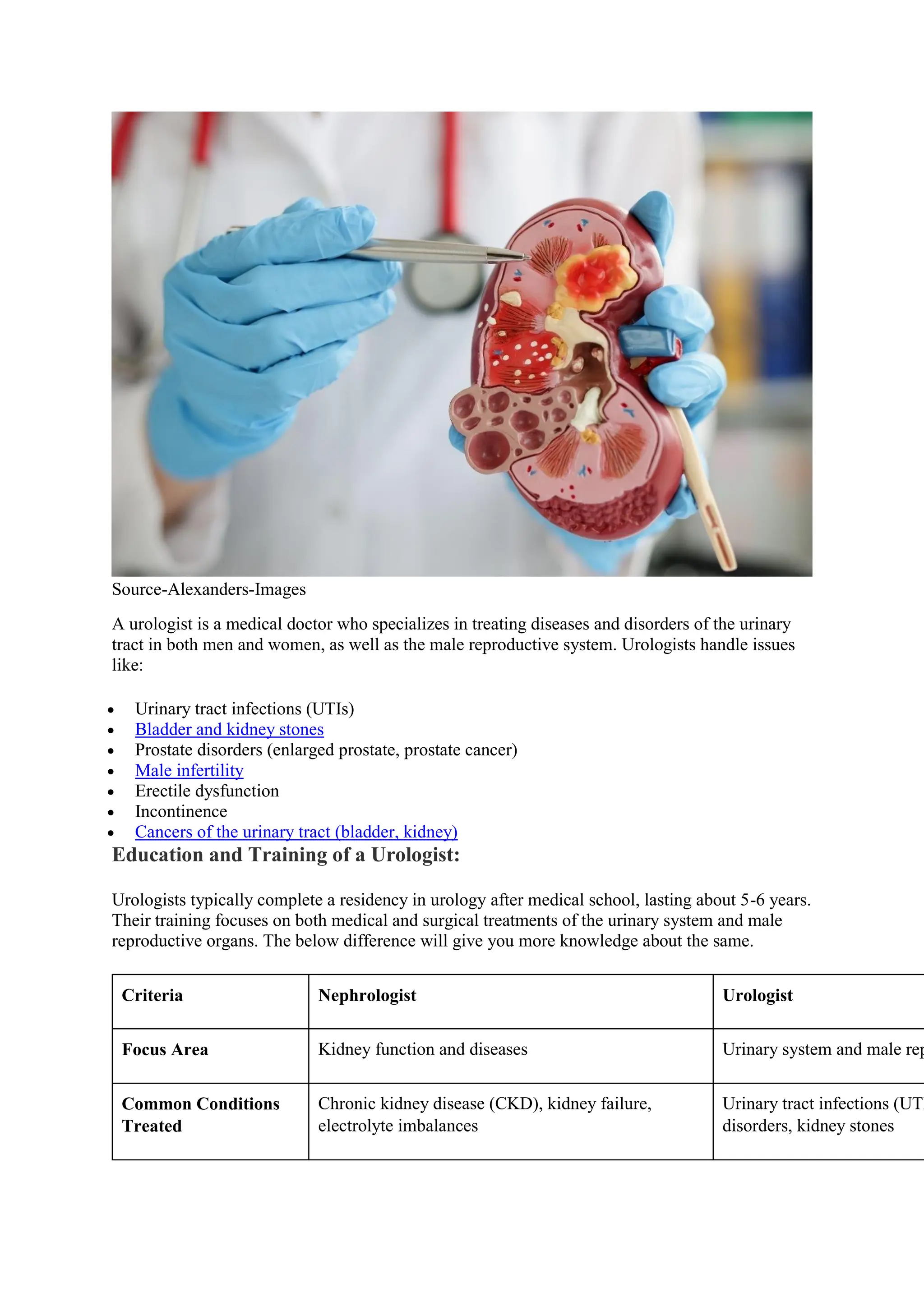 Nephrologist vs Urologist: Which Specialist Do You Need? | The ...