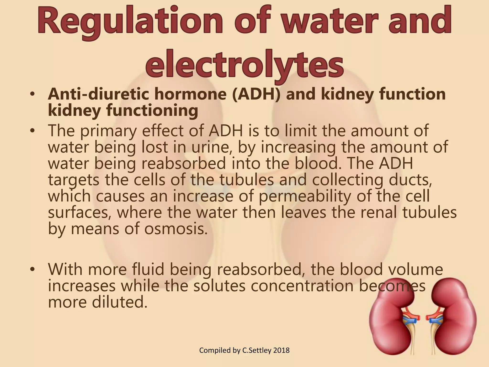Nephrology | PDF