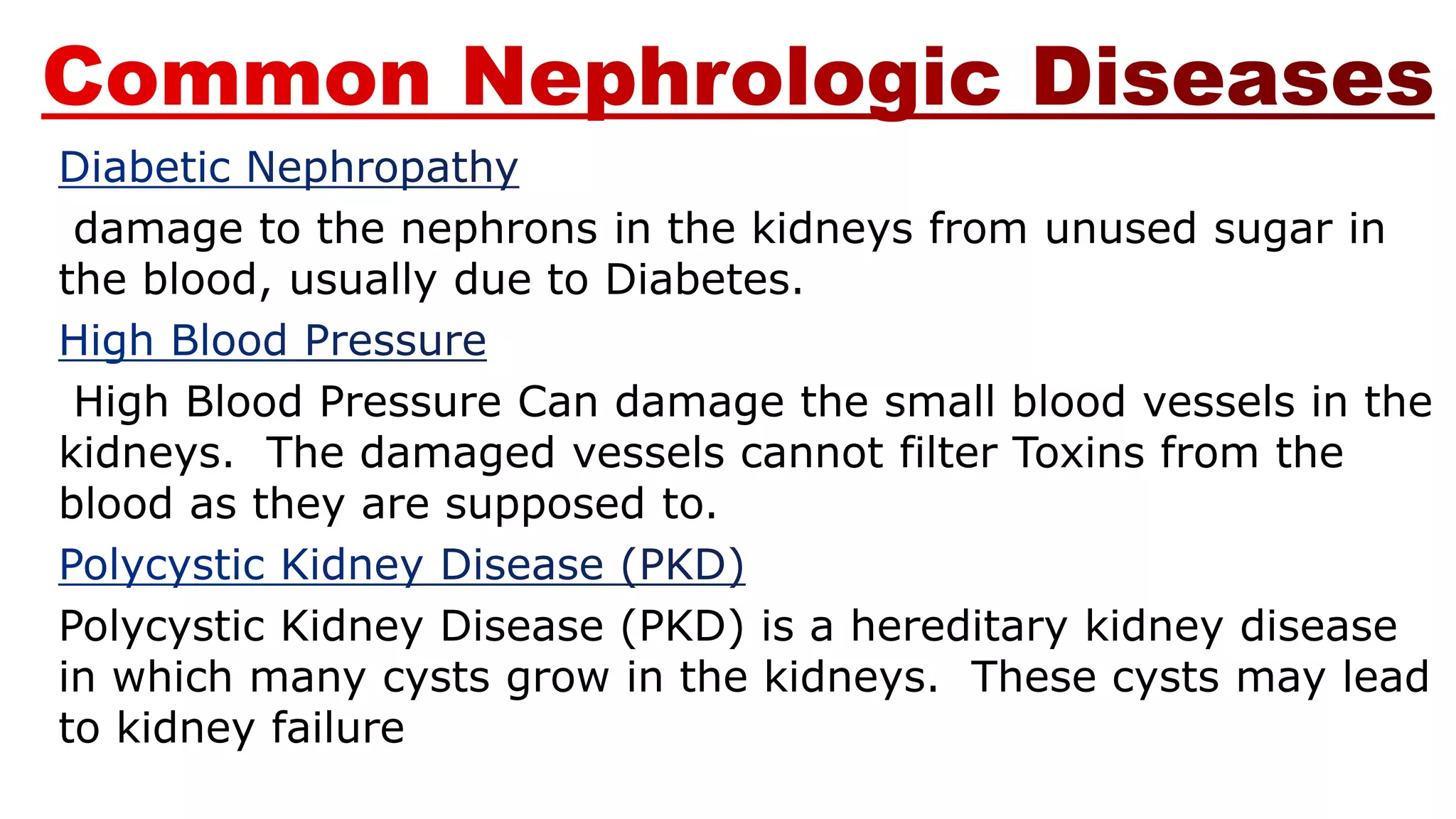 Nephrology | PPTX