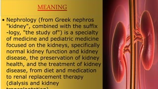 Nephrology | PPTX | Medical Health