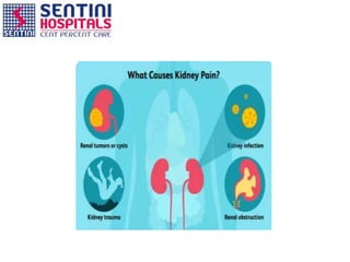 Nephrology case management and chronic kidney disease | PPTX