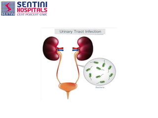Nephrology case management and chronic kidney disease | PPTX