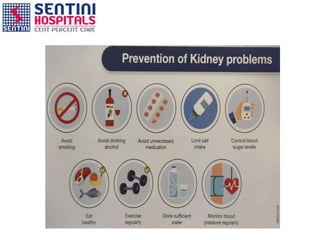 Nephrology case management and chronic kidney disease | PPTX