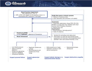 Nephrology algorithm | PPT