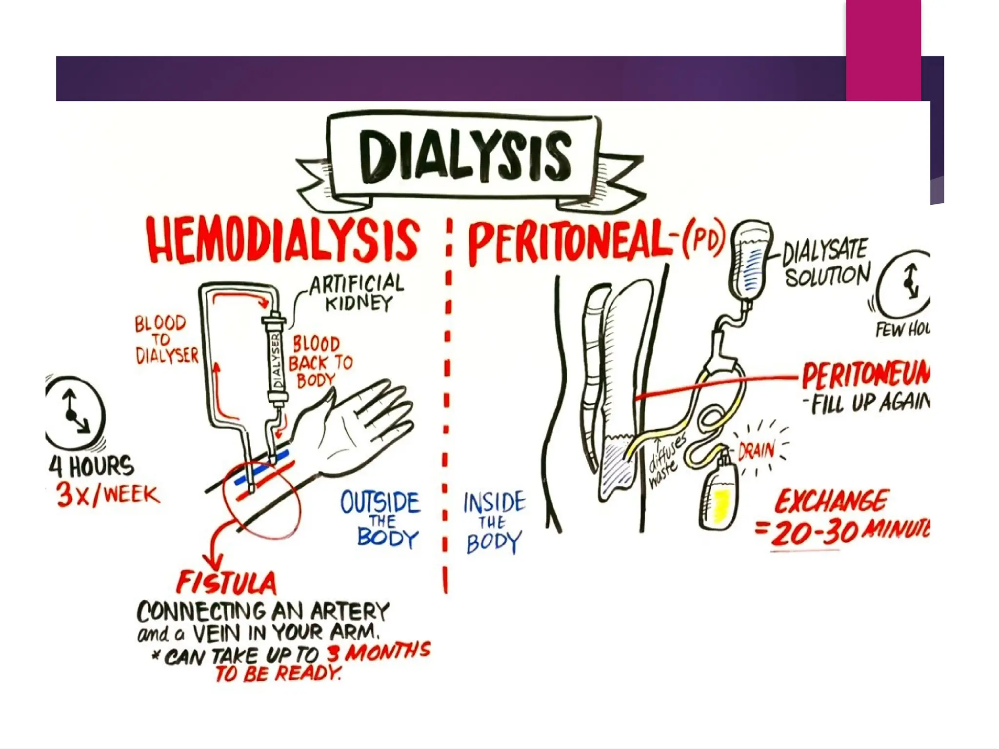 Nephrology in Images presentation of nephro | PPTX