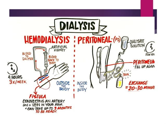 Nephrology in Images presentation of nephro | PPT