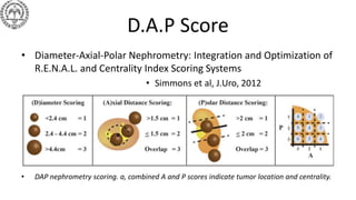 Nephrometry | PPTX