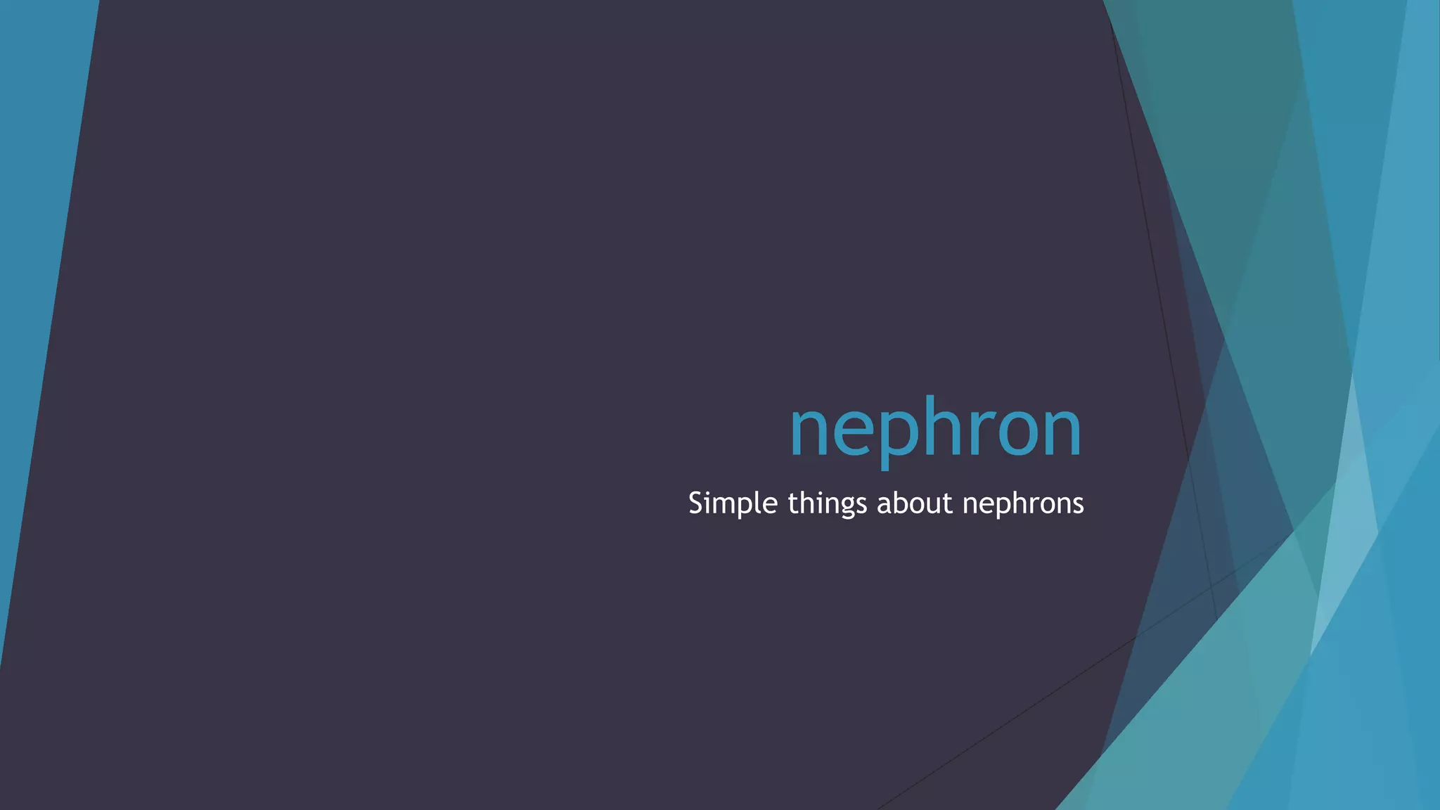 Nephron | PPTX