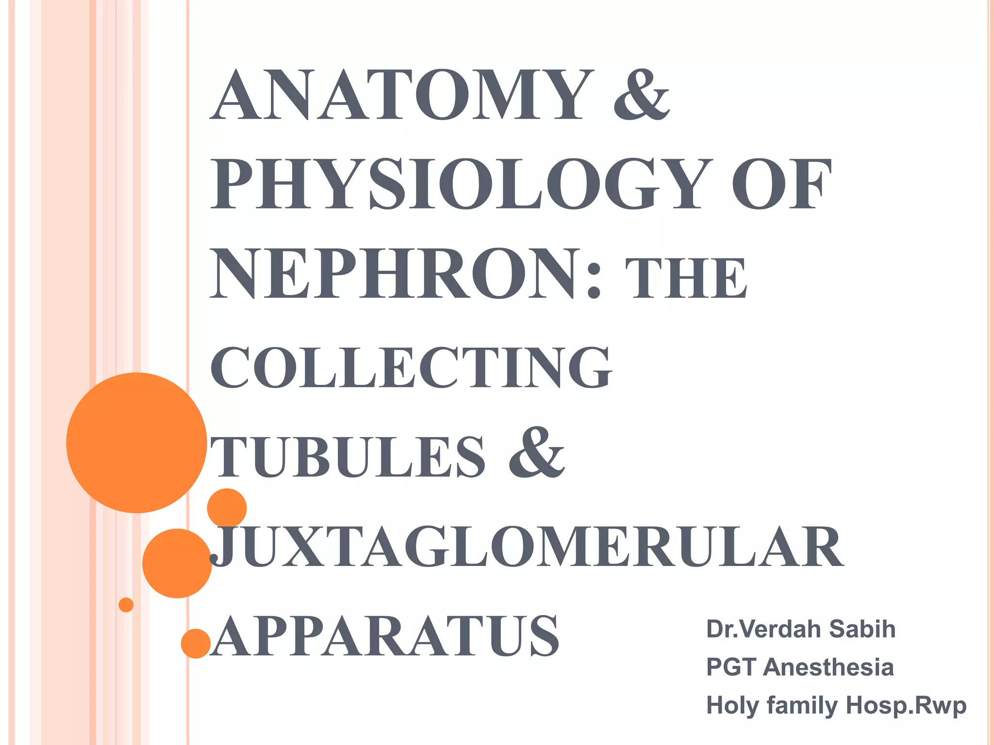 Nephron | PPTX