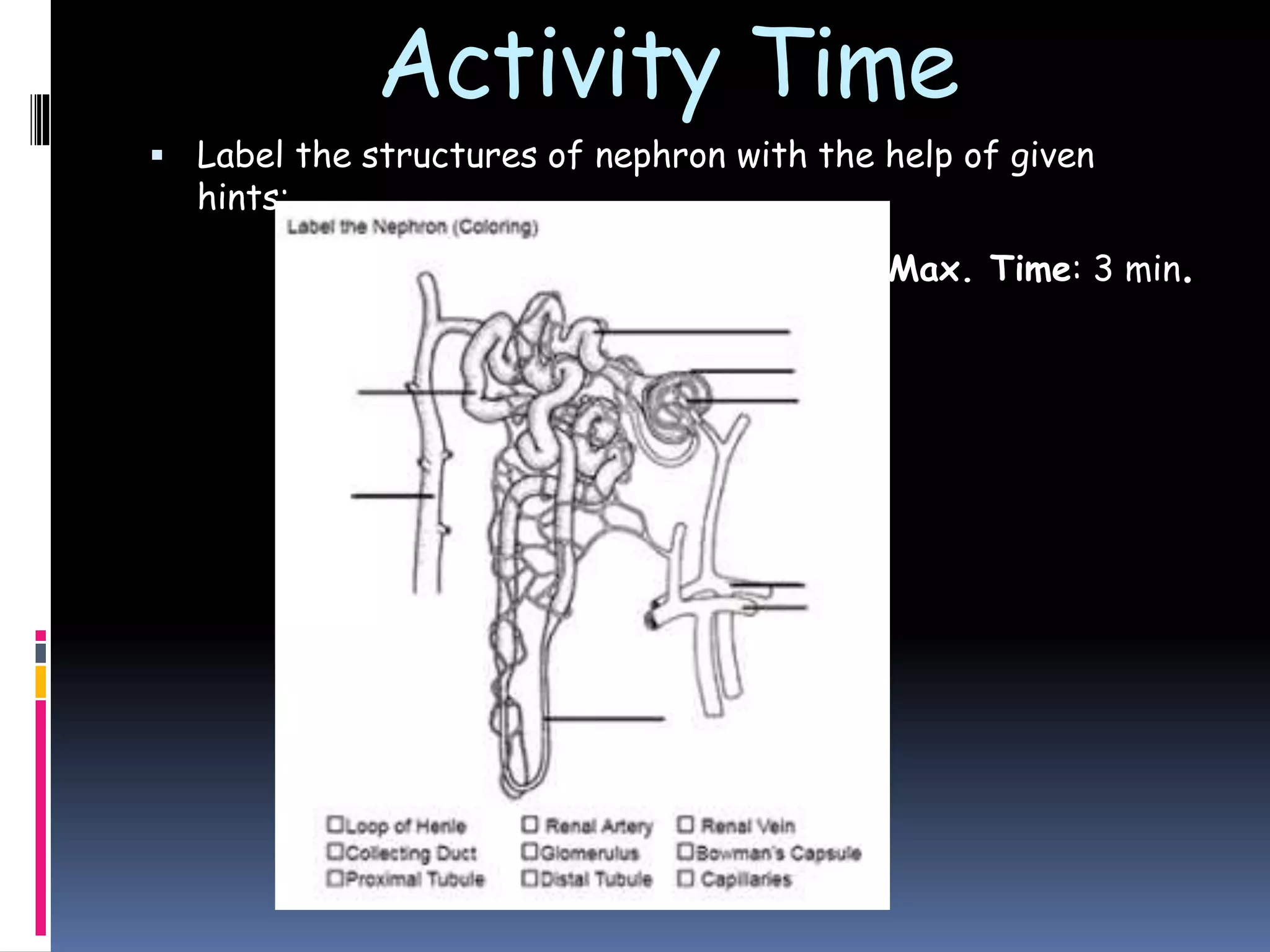 nephron-200328105815.pdf