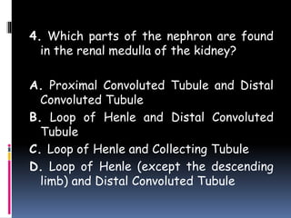 Anatomy of Nephron | PPTX