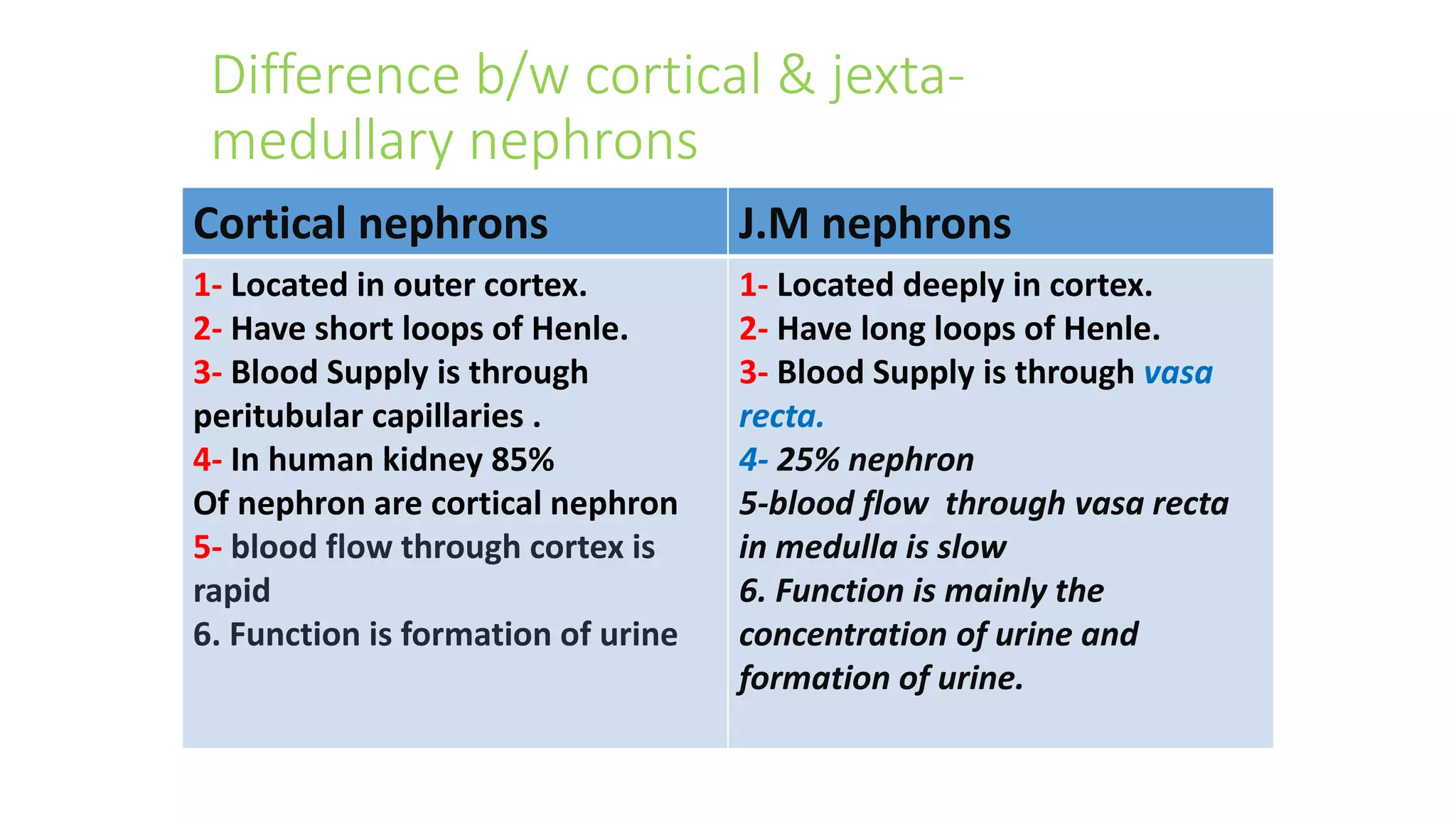 Nephron (The Guyton and Hall physiology) | PPTX